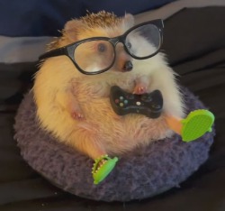 The Hollow Crown | Scribble Hub