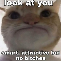 Ultimate Marvel System - Chapter 97: Spider Refuge | Scribble Hub