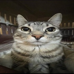 Doorlands | Scribble Hub