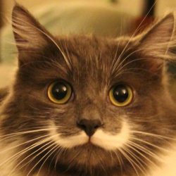 Vampire Temple Building | Scribble Hub