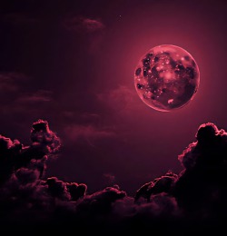 The Protagonist System - 379 Stark Truth Conclusion | Scribble Hub