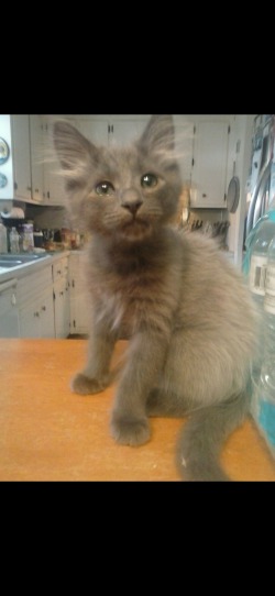 Soul Warden The Scarred Path | Scribble Hub