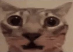 Immortality Through Array Formations - Chapter 80: Bustling Festivities | Scribble Hub