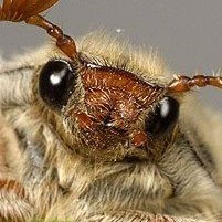 Welcome to Artificial Heaven! | Scribble Hub