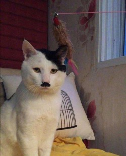 MrKratosz's Profile | Scribble Hub