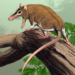 Null Mage – Novice | Scribble Hub