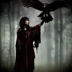 SarahsBuzzard's Profile | Scribble Hub