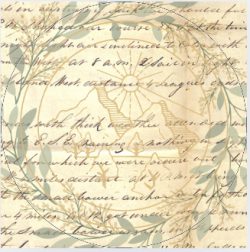 Inkroots's Profile | Scribble Hub