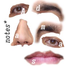 I am Back, Better, Beautiful: The Inheritor of the Massive Constructs Family | Scribble Hub