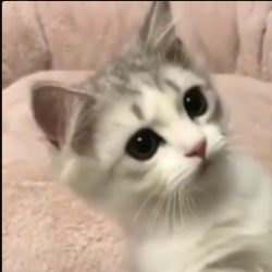 To Kill a Void Lord | Scribble Hub