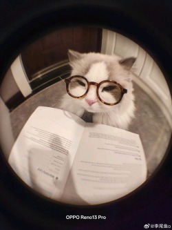 Shadows of Liberty | Scribble Hub