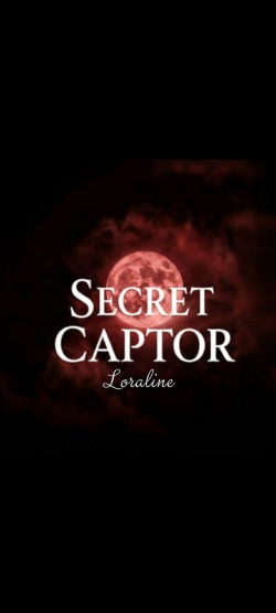 Secret captor | Scribble Hub