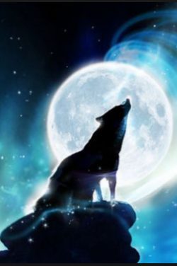 BNHA: The Wolf Legacy System | Scribble Hub