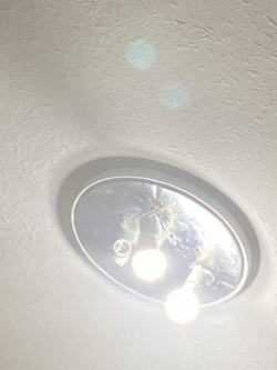 My Harem System | Scribble Hub