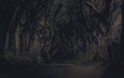 Bunker Guard | Scribble Hub