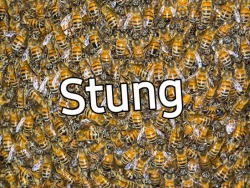 Stung | Scribble Hub