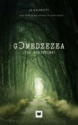 The History of Vodun Series| Book one: Gↄmedzezea (the beginning ...