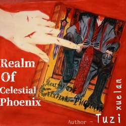 Realm Of Celestial Phoenix | Scribble Hub