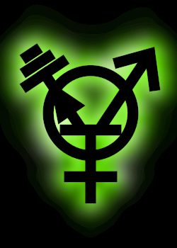 Ion & Emily | Scribble Hub