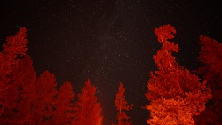 [RED SNOW] | Scribble Hub