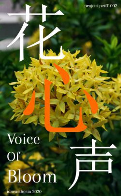 Voice Of Bloom | Scribble Hub