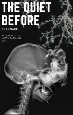 The Quiet Before | Scribble Hub