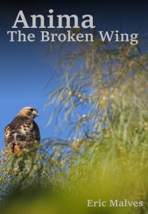 Anima: The Broken Wing | Scribble Hub