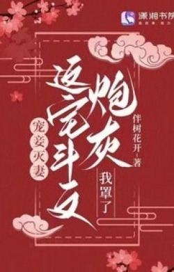 Favoring the Concubine and Disregarding the Wife? I’ve Got This Cannon Fodder Trope Covered ...