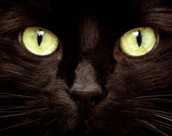 Magic Crisis | Scribble Hub