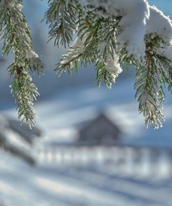 To Feel Alive | Scribble Hub