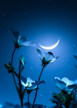 Faraway Hoarfrost Moons | Scribble Hub