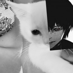 Anthology of a Fractured World | Scribble Hub