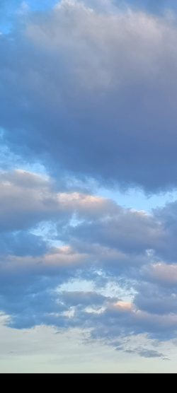 Re.in | Scribble Hub