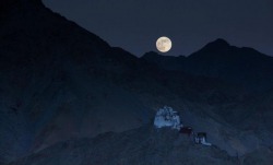 Inside the grave | Scribble Hub