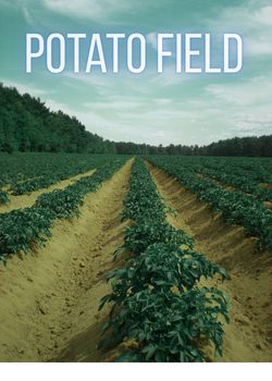 Potato Field | Scribble Hub