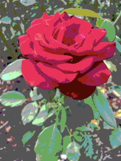 The Saga of New Rose City | Scribble Hub