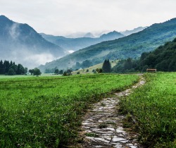 Slave Girl 3 | Scribble Hub